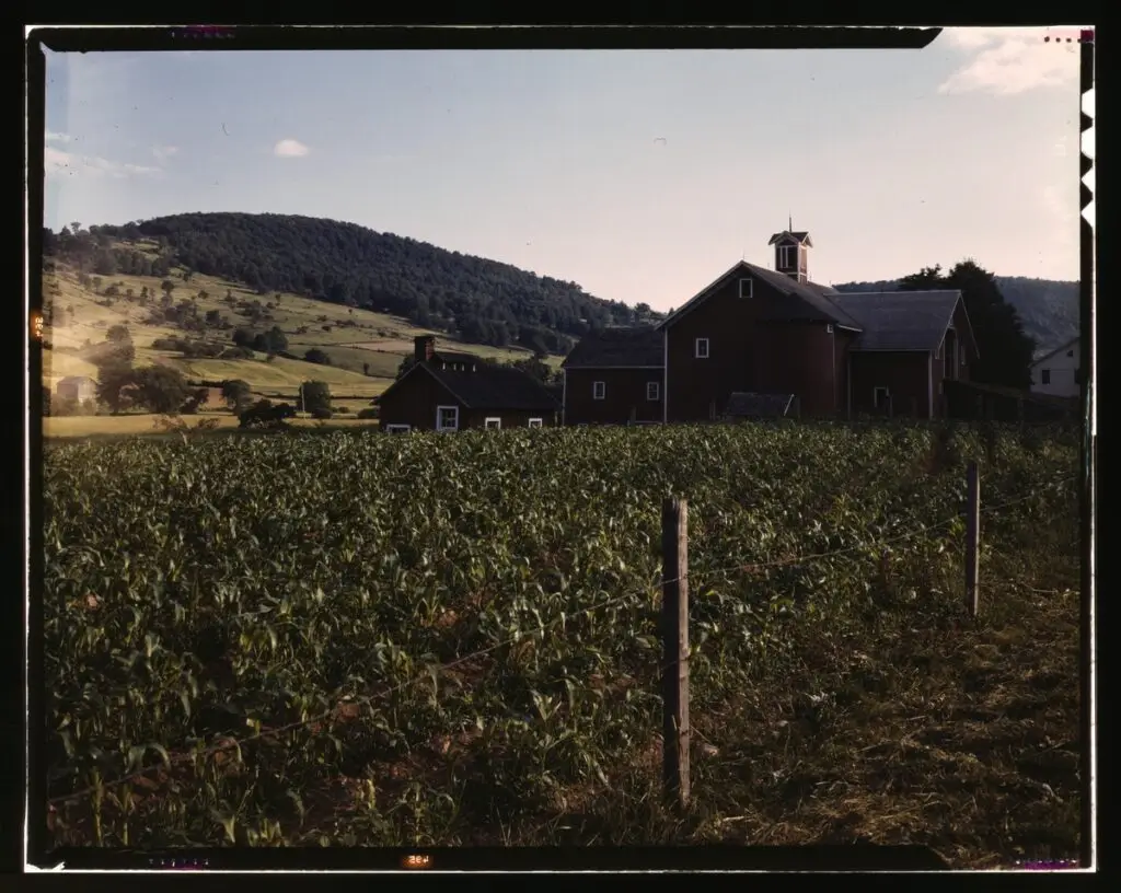 Protect Land - Central Pennsylvania Conservancy